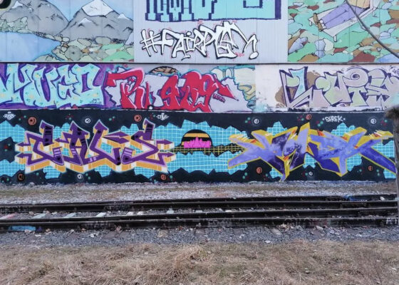 CALS - SHREK - SPRAYCITY.AT Graffiti Blog